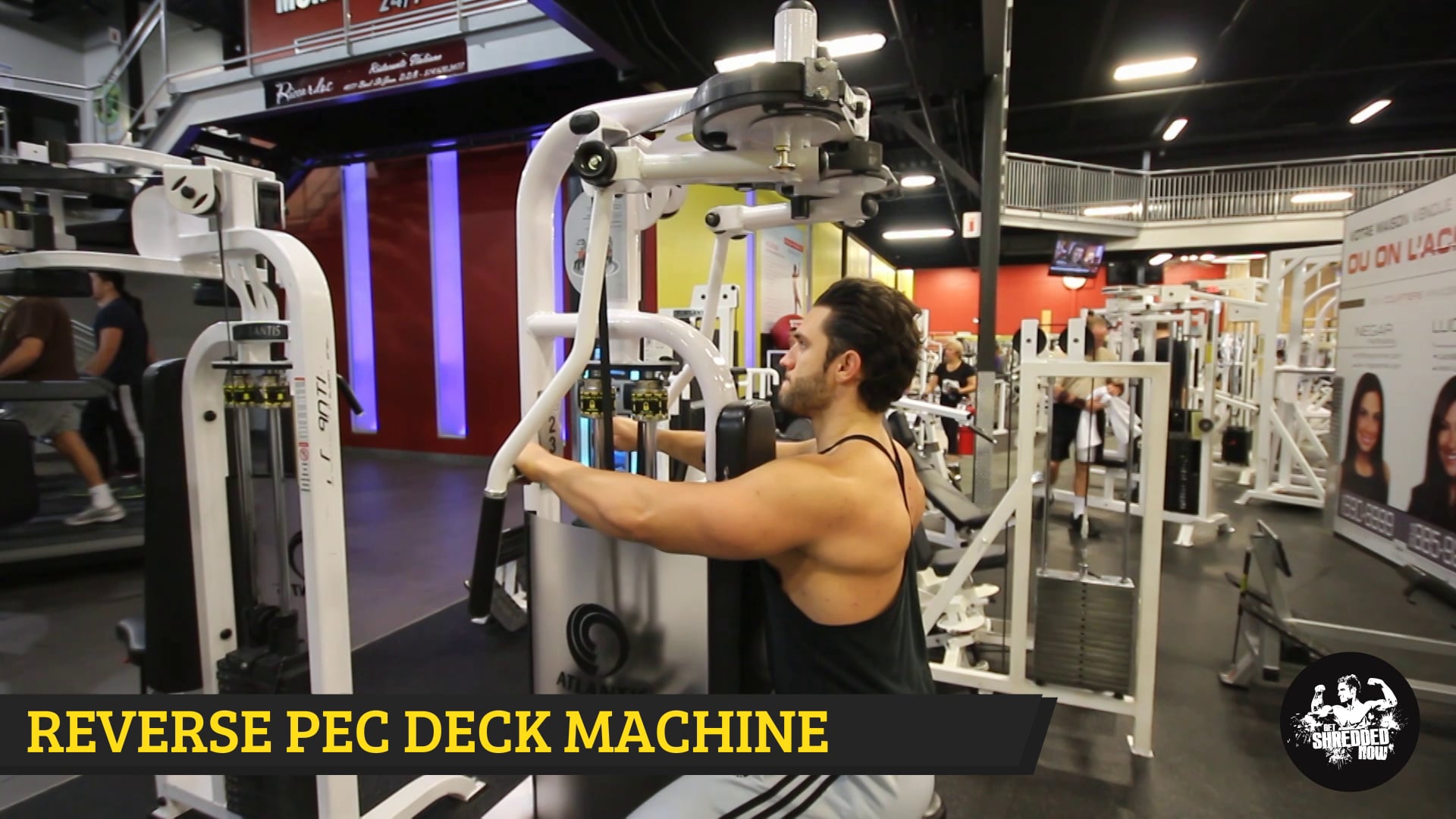 Reverse Pec Deck Machine on Vimeo