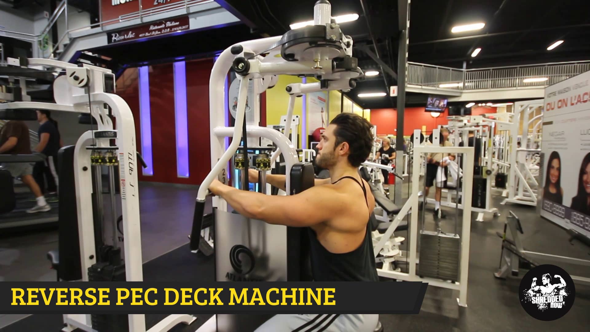 Reverse Pec Deck Machine on Vimeo