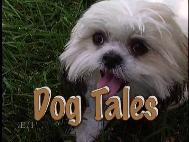 DOG TALES - Sample Episode on Vimeo