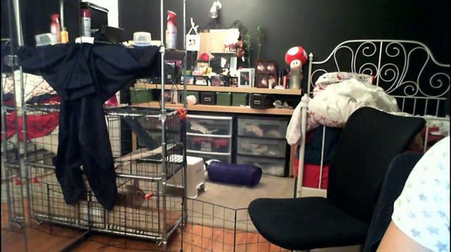 Hyper Rabbits Try to Storm the Bed on Vimeo
