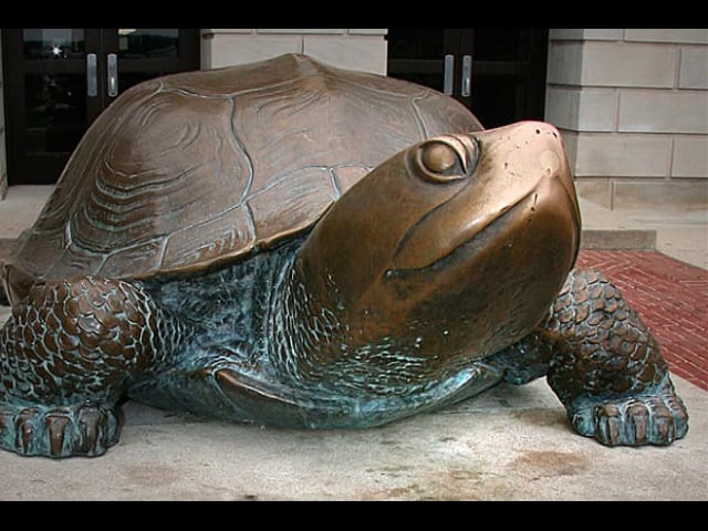 The Art of Making Testudo on Vimeo