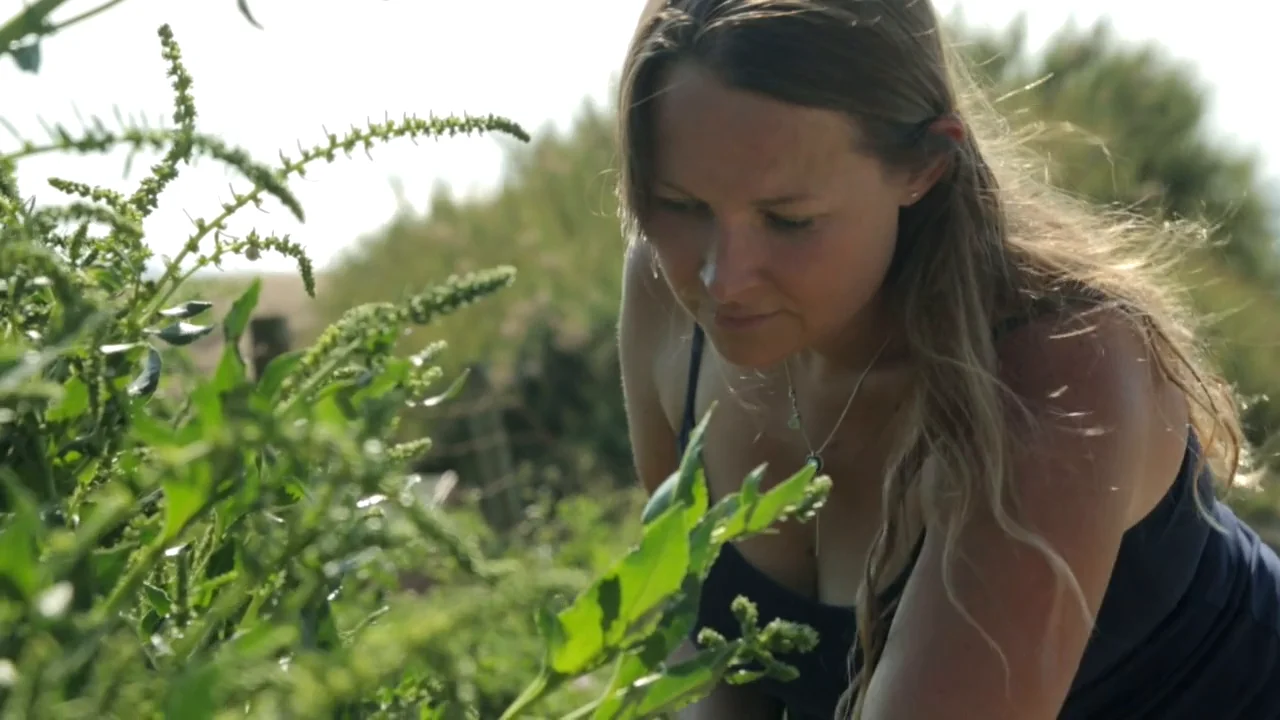 Bude For Food 2015 - expert forager Emma Gunn on Vimeo