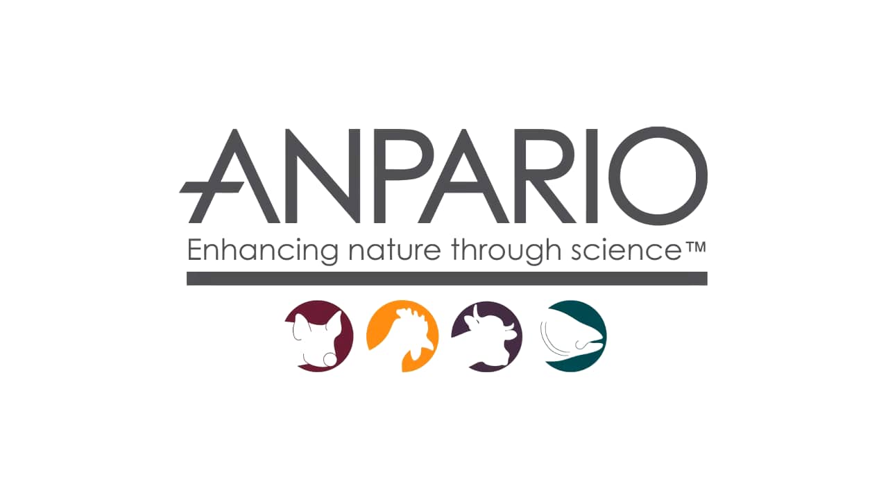 Anpario plc wins The Queen's Award for Enterprise in International ...