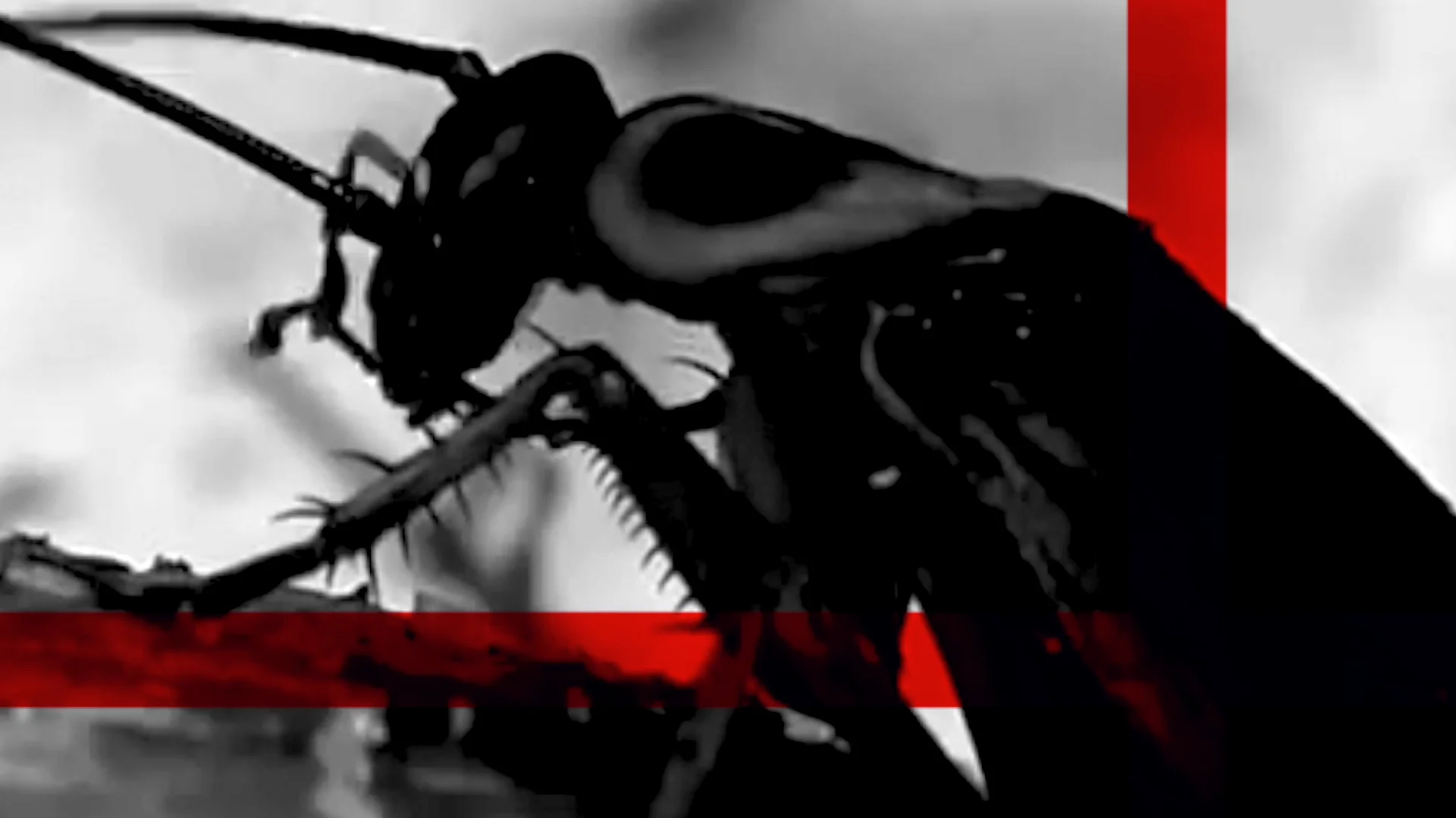 TETINE - COGNITIVE BUGS/MULA on Vimeo