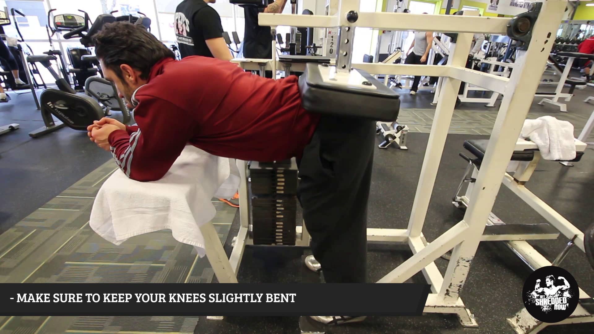 Donkey Calve Raises on Vimeo