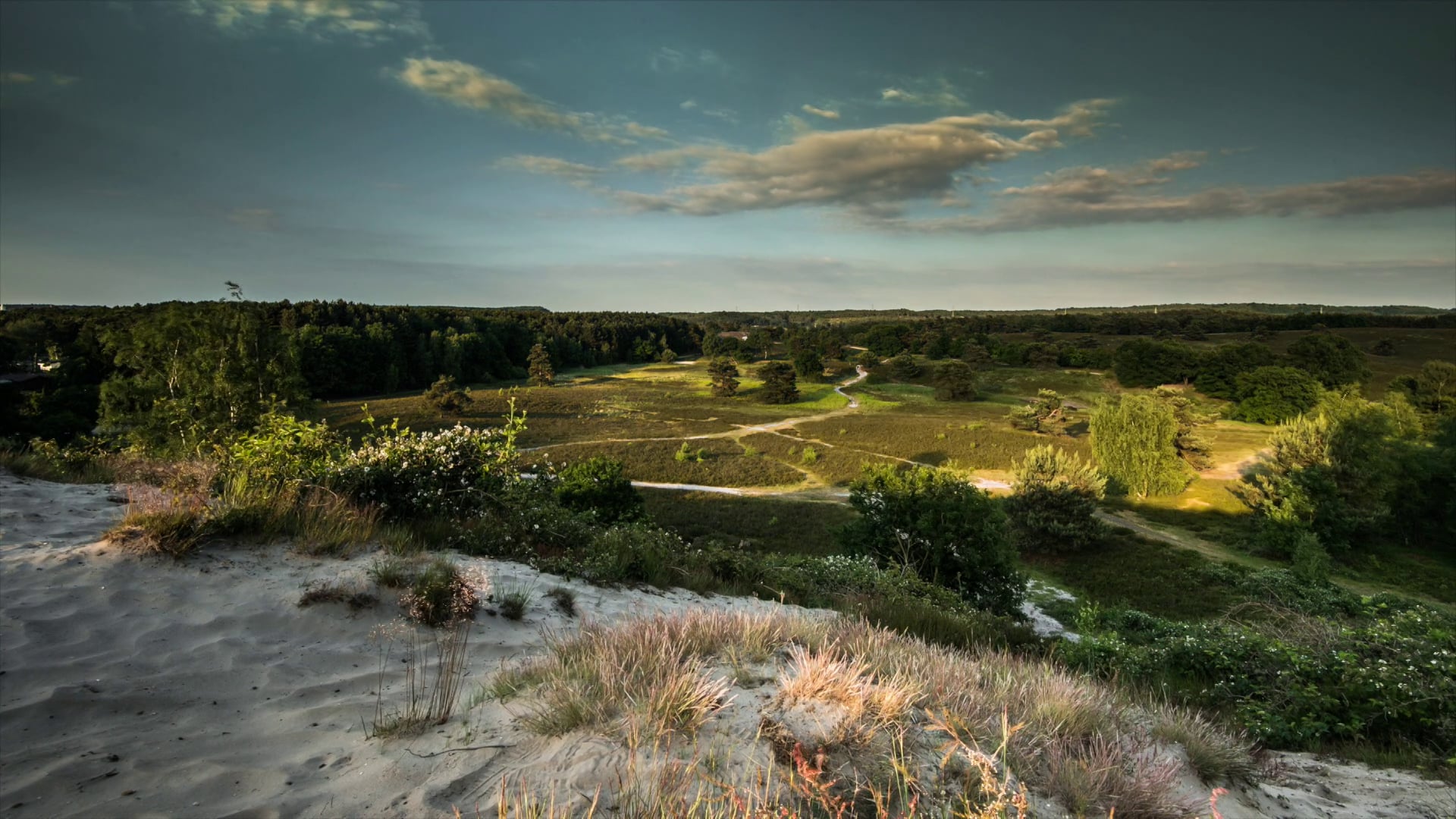 Summer at the Brunssummerheide on Vimeo