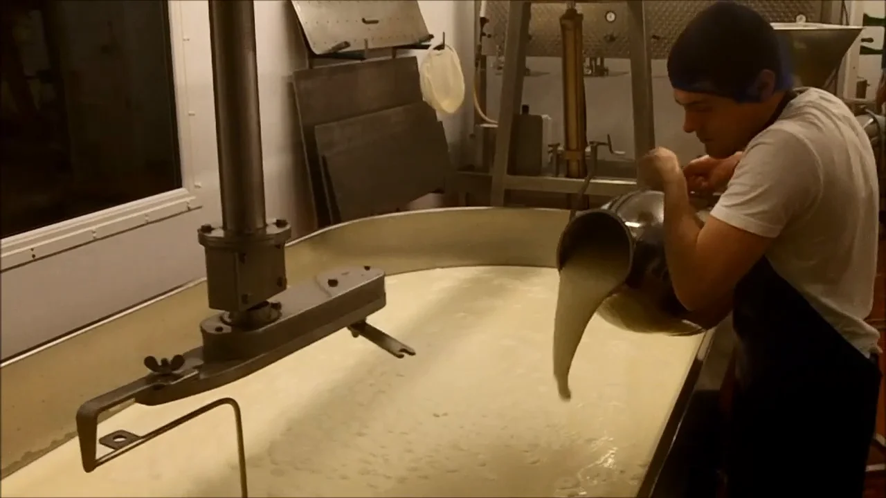 Making Anster Cheese at St Andrews Farmhouse on Vimeo