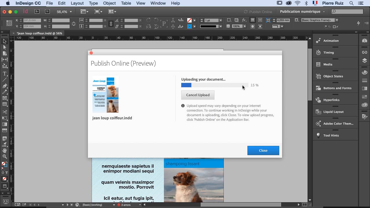 Publish online InDesign CC 2015 on Vimeo