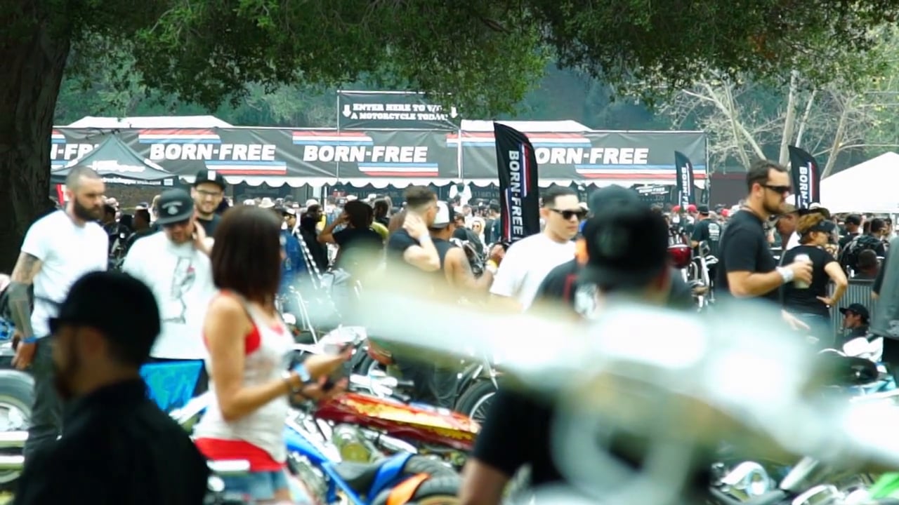 BORN FREE 7 RECAP on Vimeo