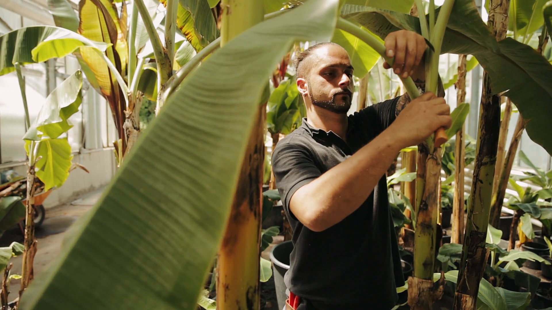 Heimathelden Folge 2: Marco Procopio on Vimeo