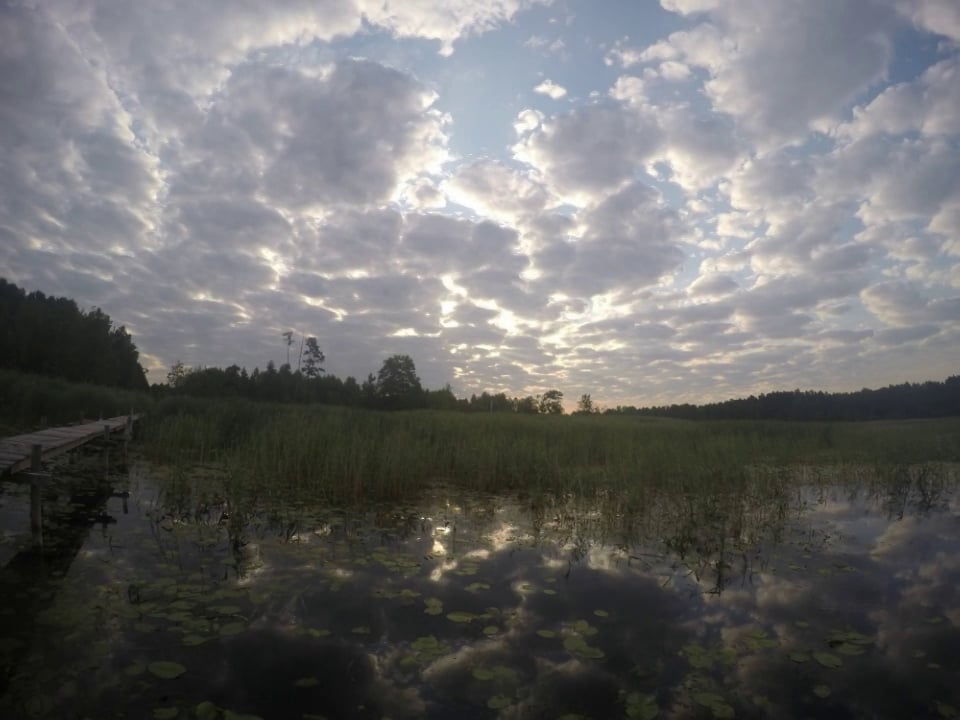 js on Vimeo