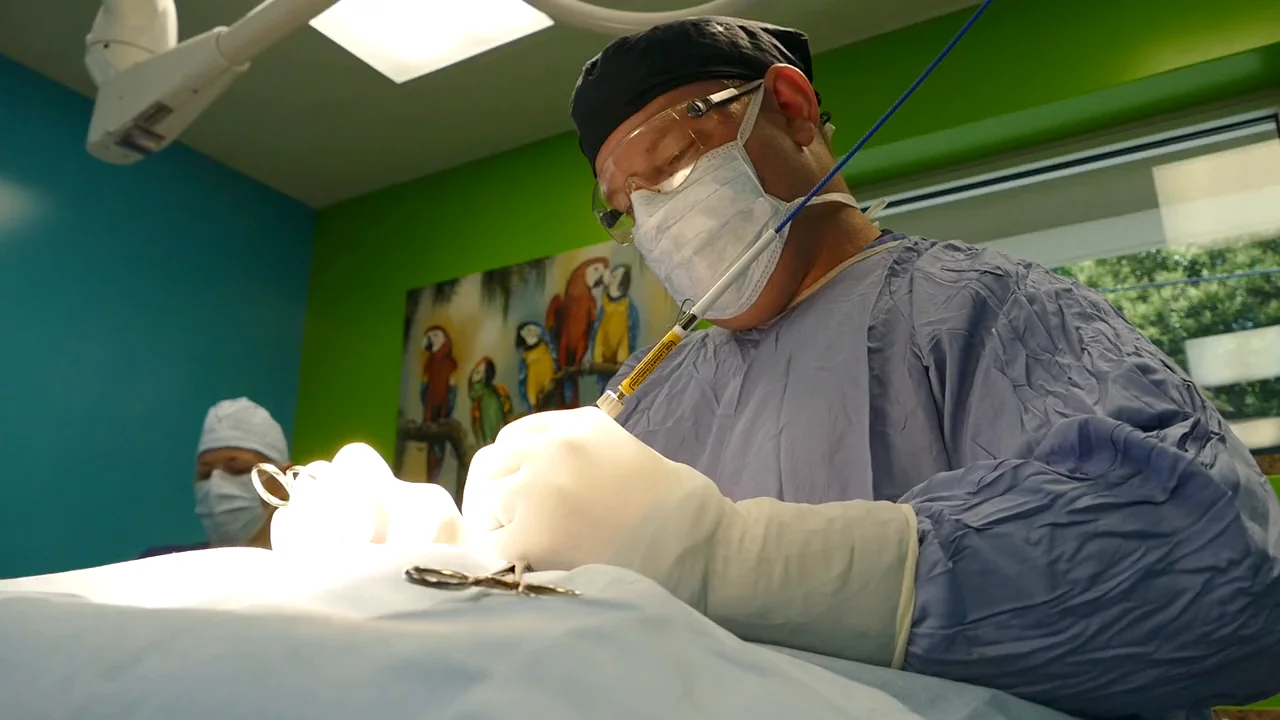 Cabarrus Animal Hospital on Vimeo