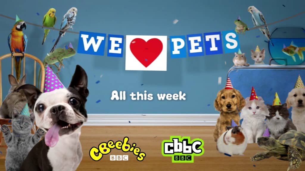 Pet Week on CBeebies and CBBC on Vimeo