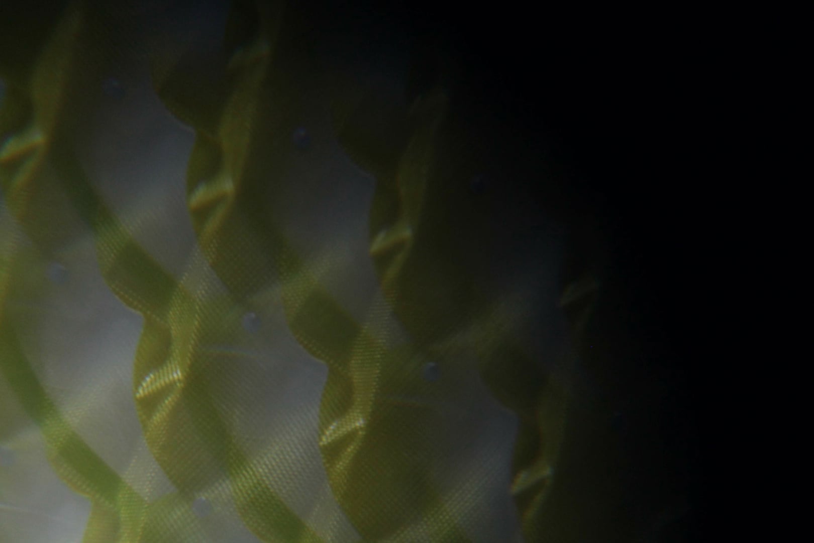 Inflatable 6 image on Vimeo