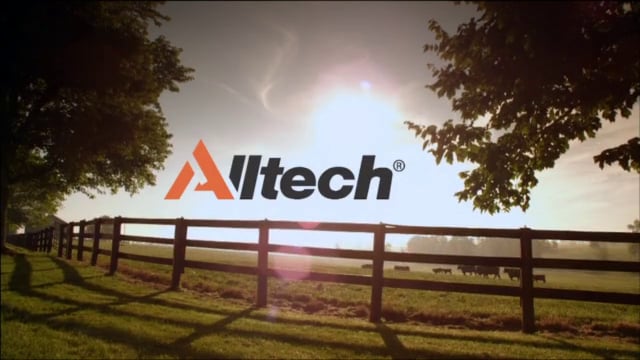Alltech Career - 10.30 - 18.07.15 on Vimeo