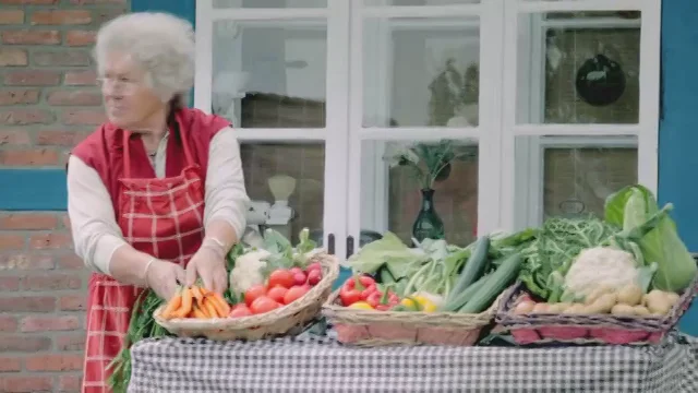 Elbe Triathlon-Gemuese on Vimeo