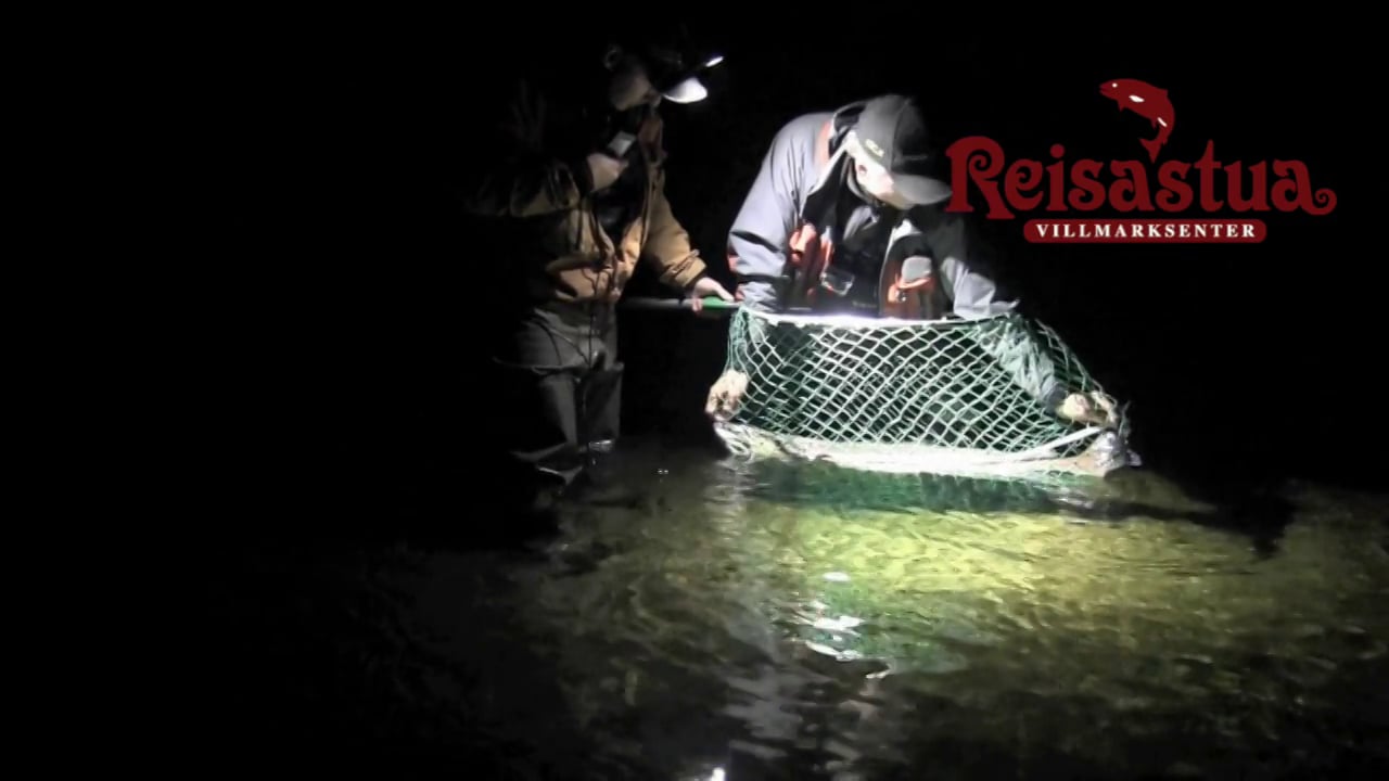 2013 roar olsen 10 kilos 2 720p on Vimeo