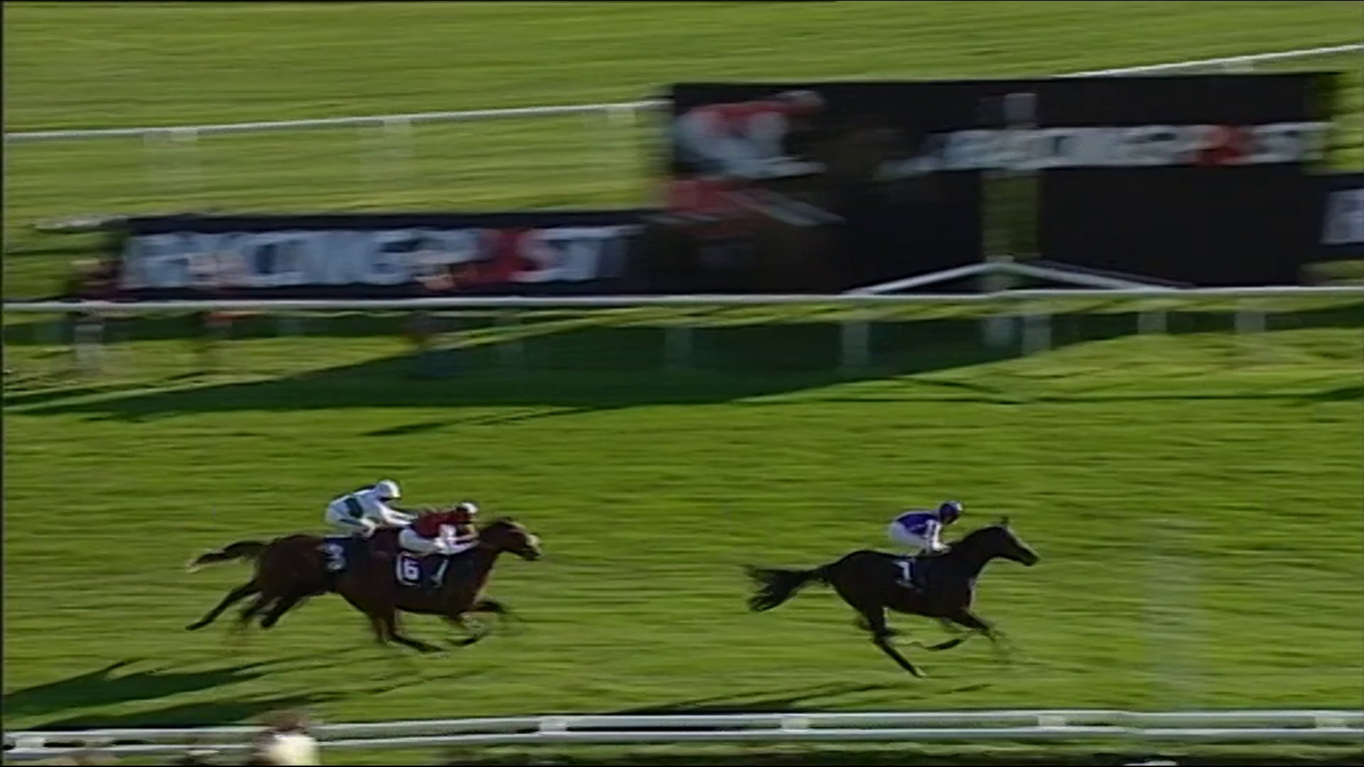 Camelot | Stallions - Coolmore Ireland