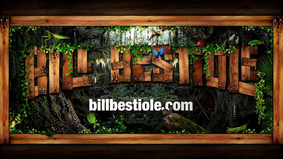 Bill Bestiole - Les insectes sur scène