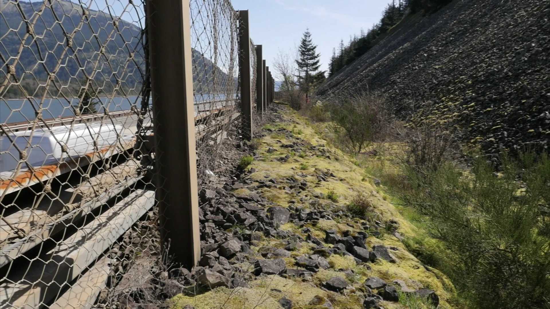 Reconnecting The Gorge Series 2/6 - Shellrock Mountain
