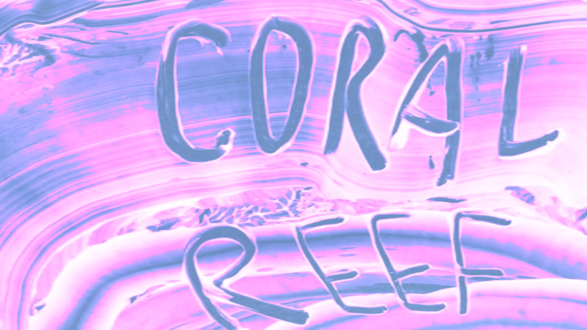 Coral Reef, trailer 3 on Vimeo