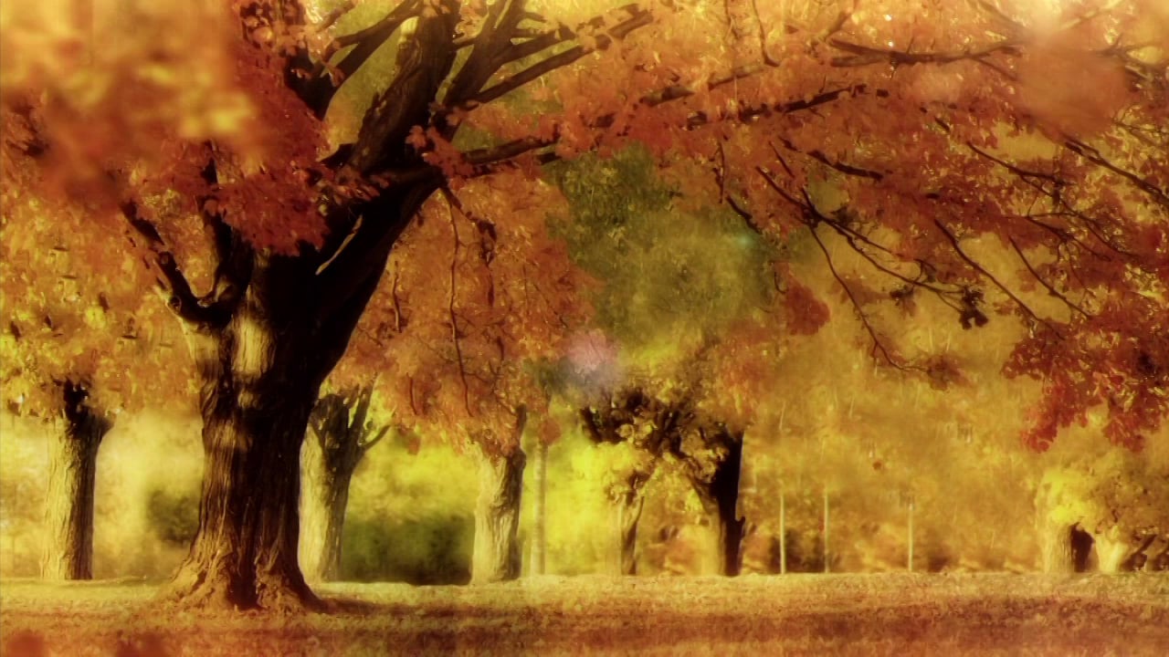 Sacred Journey of the Heart New Official Trailer on Vimeo