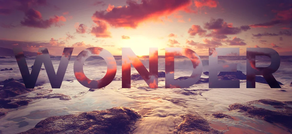 Wonder Part 5 on Vimeo