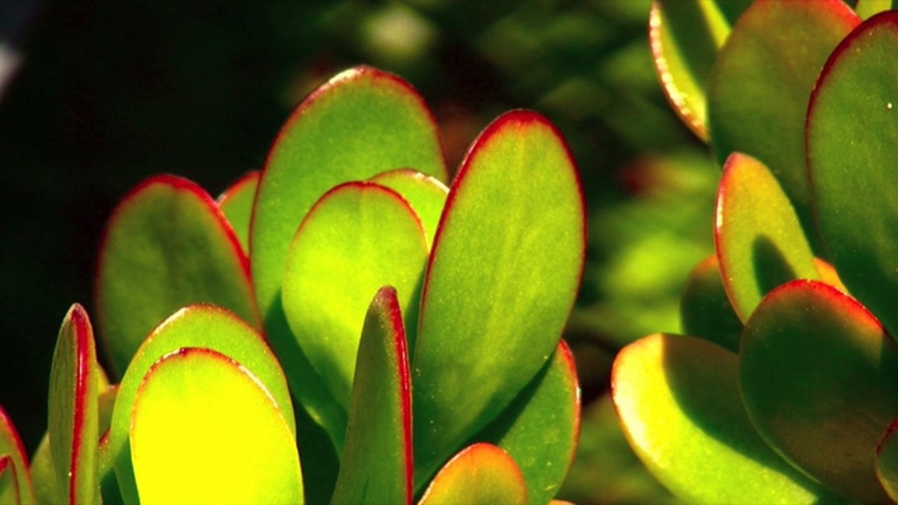 Insert Completely on Vimeo