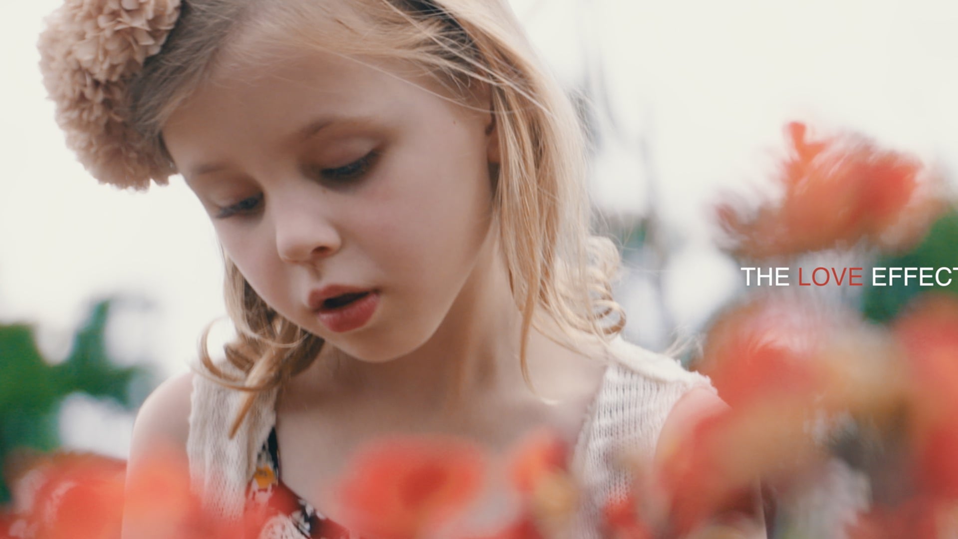 Virtus Video | Elevate your story