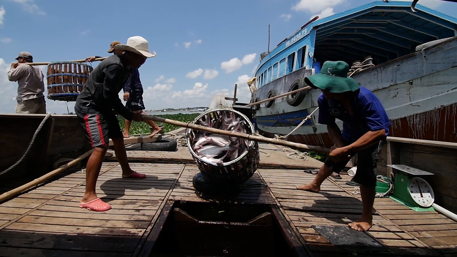 Trại Cá (Vietnamese Fish Farm) - Mekong Delta on Vimeo