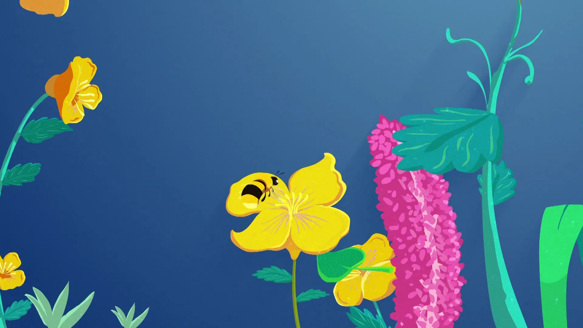 Unilever sustainability - Sure on Vimeo