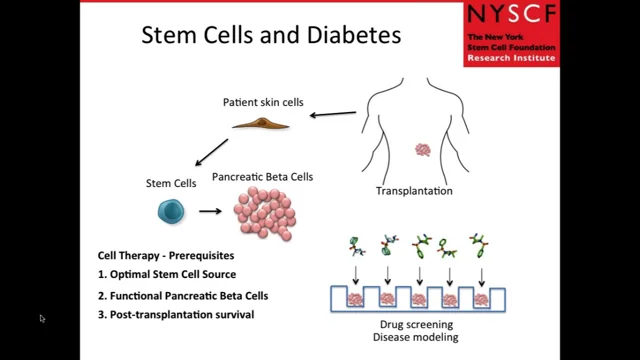 Stem Cell Therapy For Diabetes