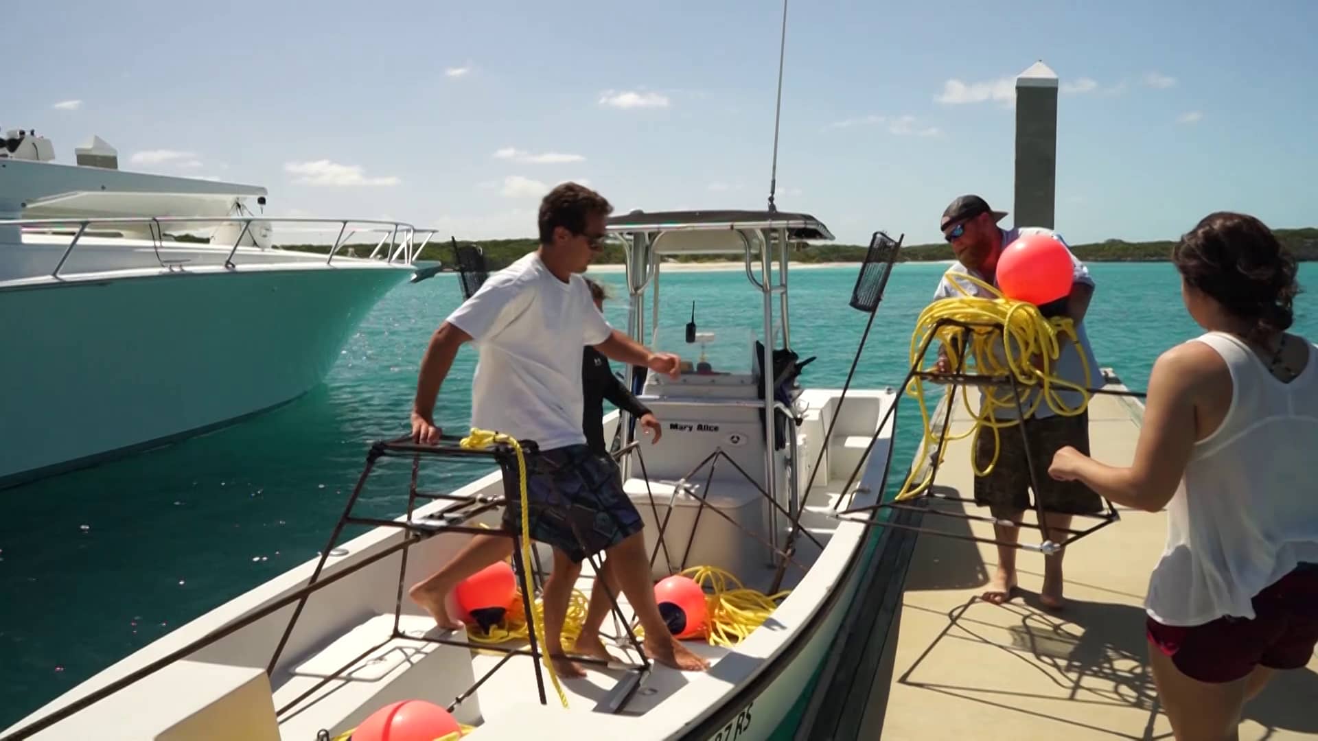 Global FinPrint Project on Vimeo