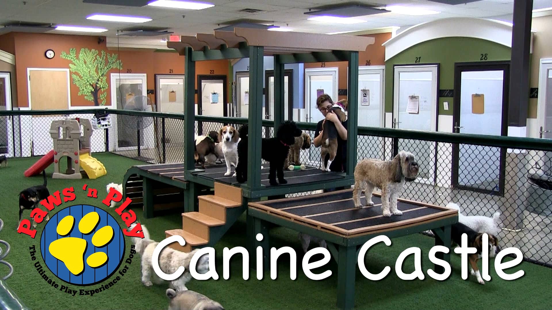 Canine Castle on Vimeo