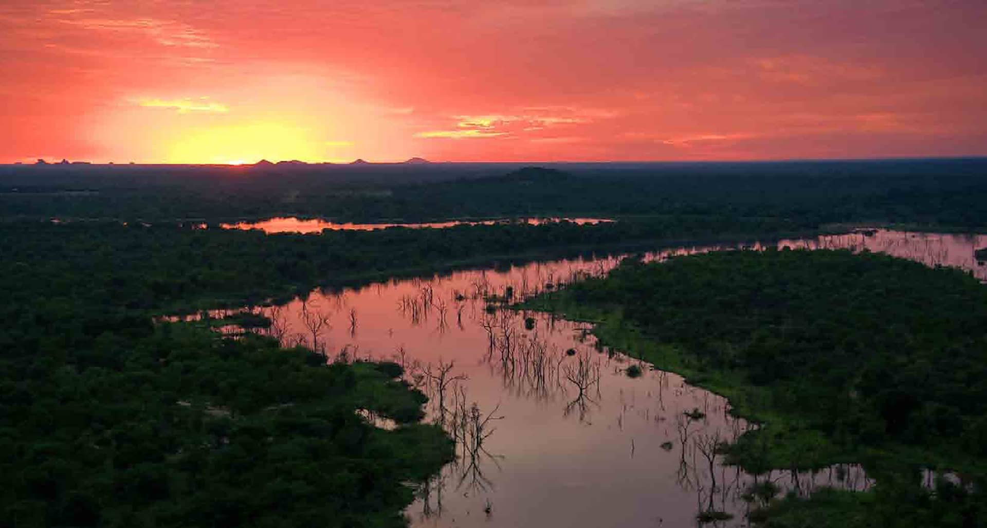 The Fate of the African Lion: The Bubye Valley Conservancy Zimbabwe. on ...