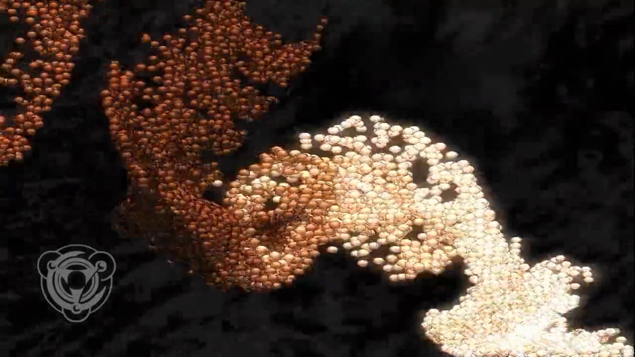 Particle Cannon on Vimeo