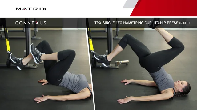 Trx Hamstring Curl