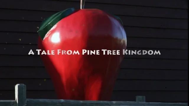 A Tale From Pine Tree Kingdom on Vimeo
