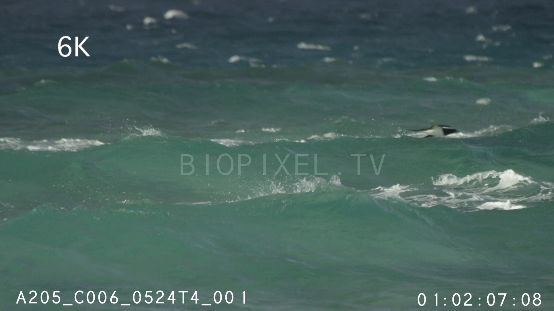 4K Weather - Waves in storm 6K on Vimeo