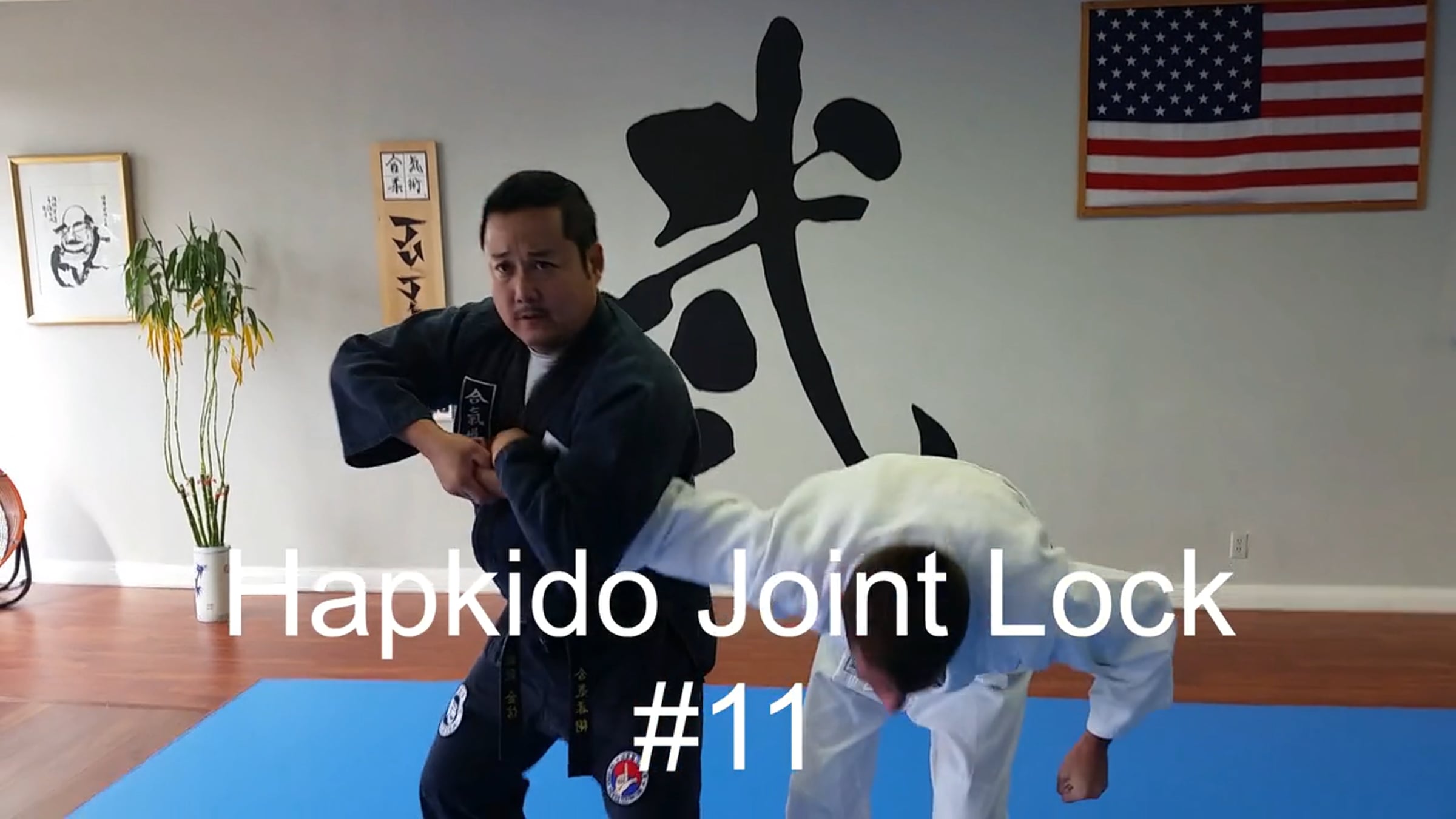 Hapkido Joint Locks 1-20