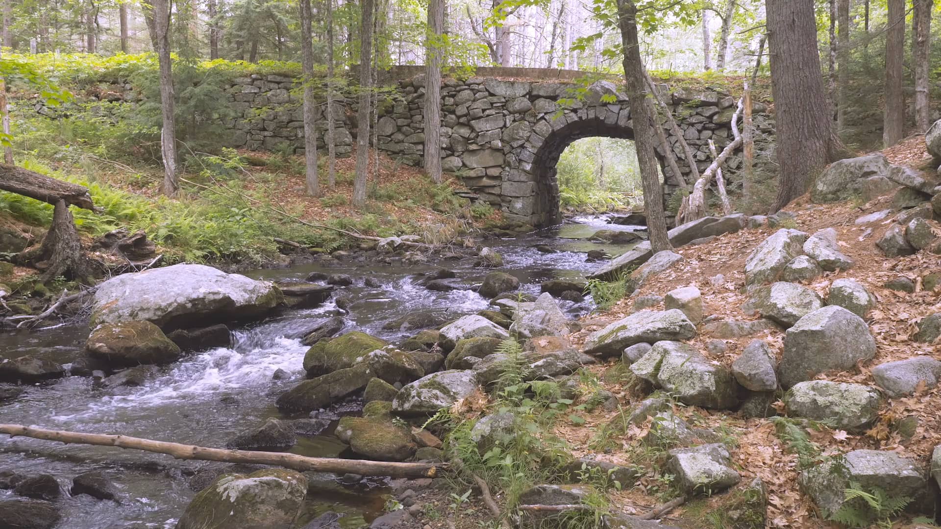 Middle Branch of the Swift River, On the Way to the Quabbin Reservoir ...