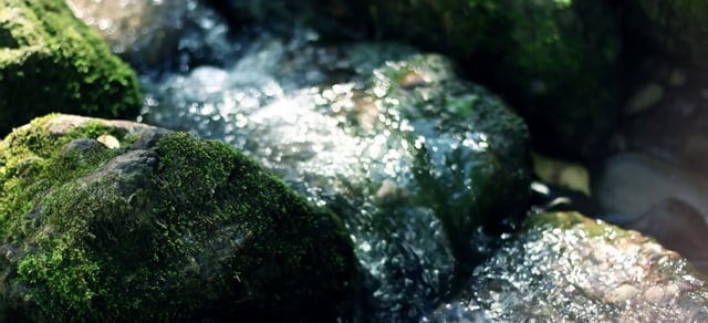 Creek Videos: Download 424+ Free 4K & HD Stock Footage Clips - Pixabay