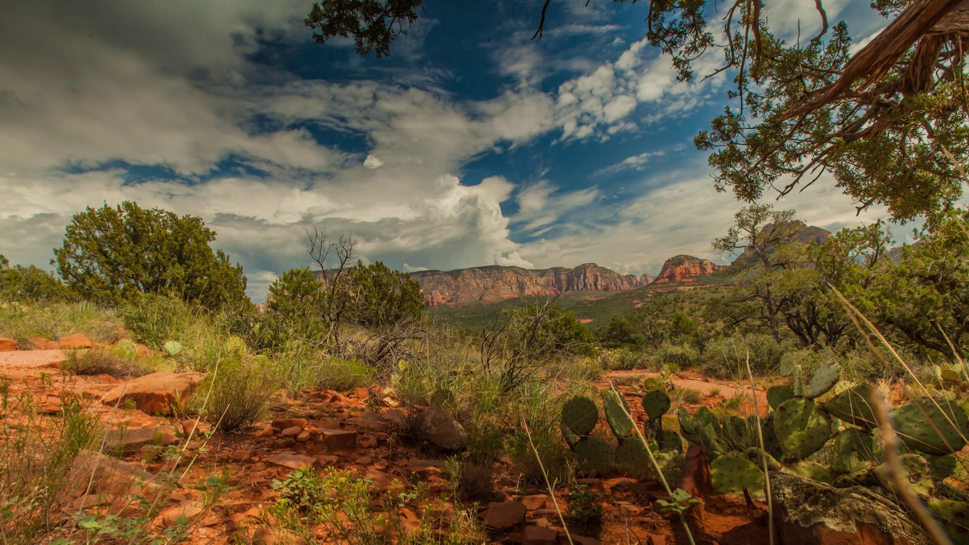 2015 Cinematography Reel - William Heim Photography on Vimeo