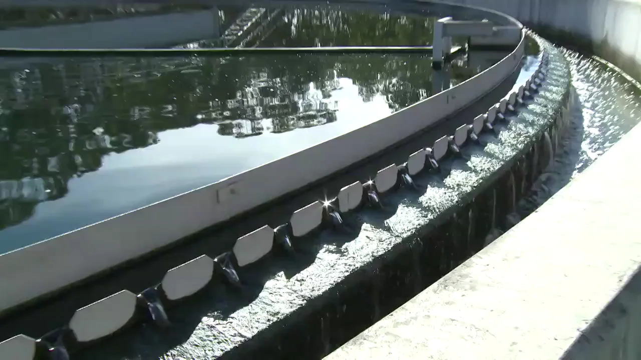 Clarifiers Animation-HD on Vimeo