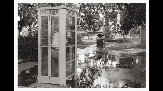 Rankin, 2013 - X-Tom Rankin examines Kwilecki's photographic subjects ...