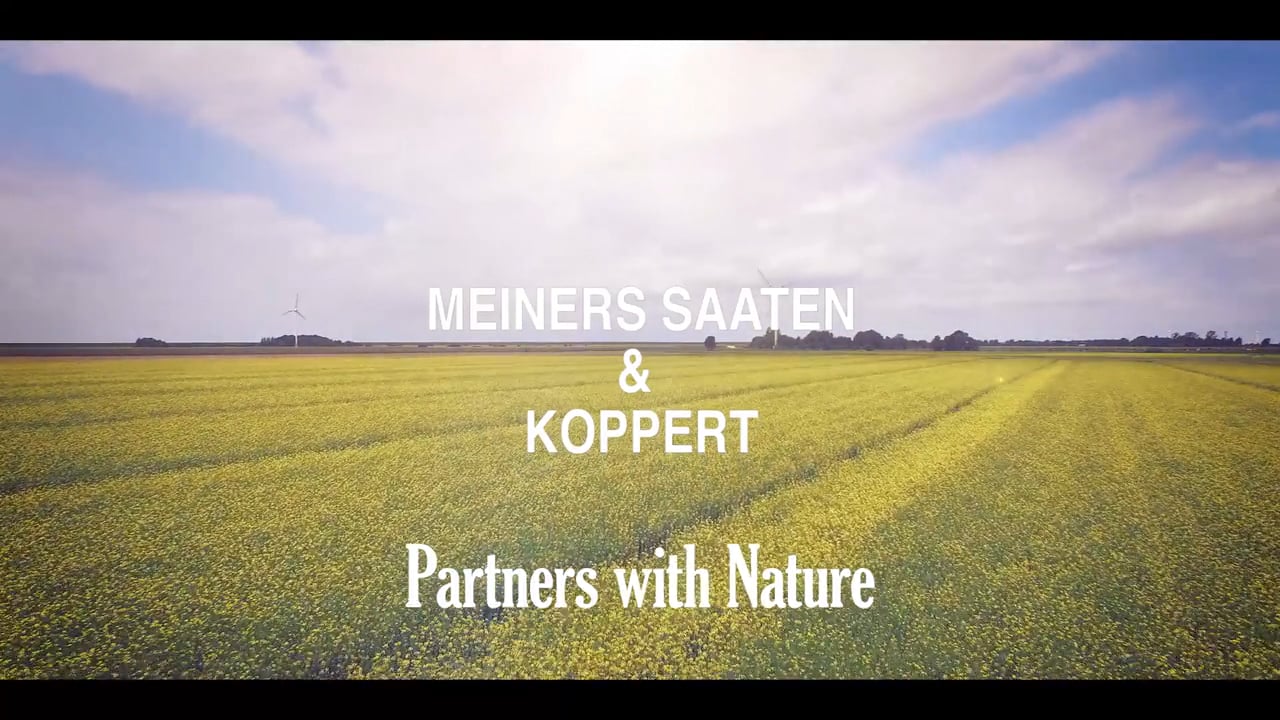 KOPPERT - MEINERS SAATEN on Vimeo