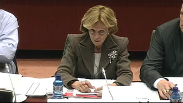 ECOFIN debate: Directiva e-invoice VAT on Vimeo