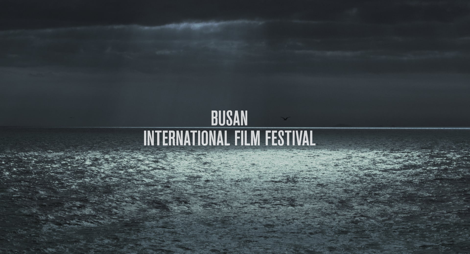 BIFF Official Trailer - Art Collaboration on Vimeo