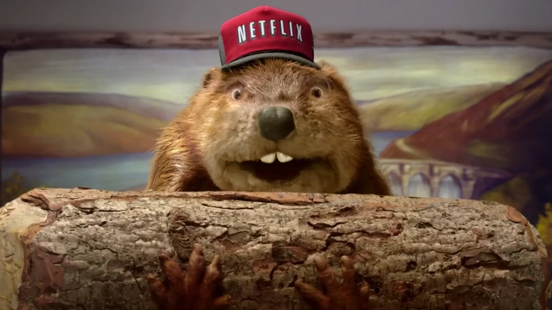 Netflix 'Beaver' on Vimeo