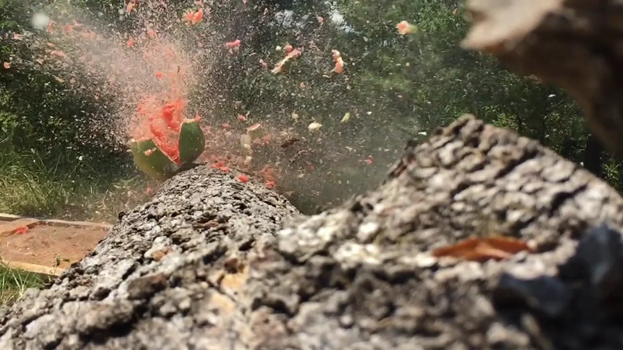 Shooting Watermelons with AR15 5.56x45mm on Vimeo